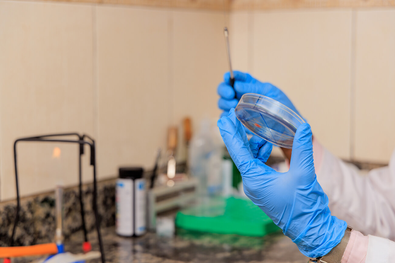 Diagnostic Services - Microbiology Department - Jowa Health Specialised ...